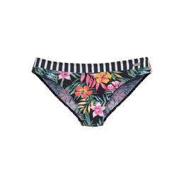 Venice Beach Bikini Bottoms female Black size 38
