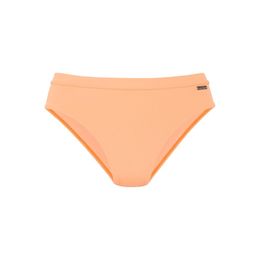 Venice Beach Bikini Bottoms female Orange size 34