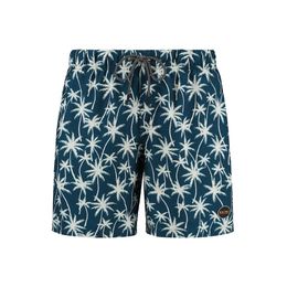 Shiwi Board Shorts male Blue size M