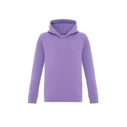 Williot Sweatshirt girl Purple size 11-12