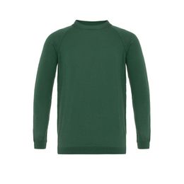 Antioch Pullover Herren Gr&ouml;&szlig;e M dunkelgr&uuml;n