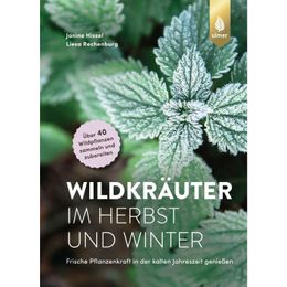 Ulmer Verlag Wildkr&auml;uter im Herbst und Winter