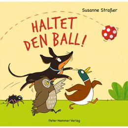 Peter Hammer Verlag Haltet den Ball!