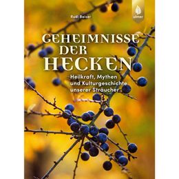 Ulmer Verlag Geheimnisse der Hecken
