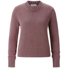 armedangels Damen-Baumwollpullover XL Mauve