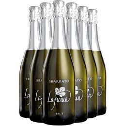 Laficaia Sbarbato Paket Cuv&eacute;e Brut - Piemont &ndash; Probierpaket Vino Generico