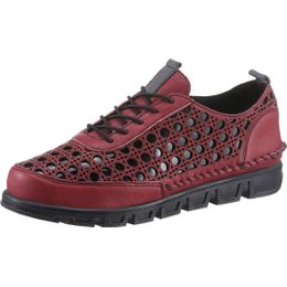 Gemini Damen Schn&uuml;rschuh bordeaux Gr&ouml;&szlig;e 39