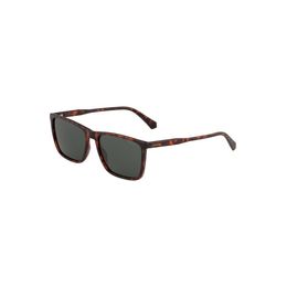 Polaroid Sunglasses male Brown size 58