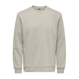 Only & Sons Only & Sons Sweatshirt 'CONNOR' male Grey size S