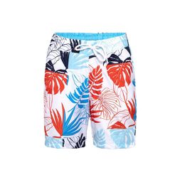 Daniel Hills Board Shorts boy Mixed colors size 11-12