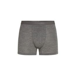 Icebreaker Athletic Underwear '125 Anatomica' male Grey size L