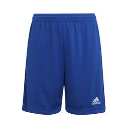 adidas Performance Workout Pants 'Entrada 22' boy Blue size 152