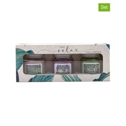 Candle Brothers 3er-Set: Duftkerzen "Relax" in Bunt - 3x 85 g - 49% | Kerzen-vasen