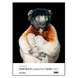 NEUMANNVERLAGE Fotokalender "Portr&auml;ts bedrohter Tiere 2022" - 55% | Buero-schulbedarf