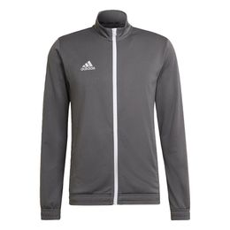 adidas Performance Training Jacket 'Entrada 22' male Grey size L