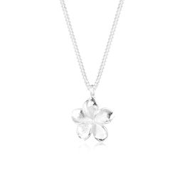 Elli Kette mit Anh&auml;nger &raquo;Frangipani Bl&uuml;te 925 Silber&laquo; Silber 45 Bezaubende Halskette mit Bl&uuml;ten Anh&auml;nger f&uuml;r Damen