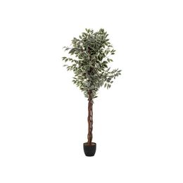 Atmosphera Cr&eacute;ateur d'int&eacute;rieur K&uuml;nstlicher Ficus in gr&uuml;n | Gr.: onesize