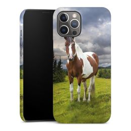 DeinDesign iPhone 12 Pro Max Handy Premium Case Smartphone Handyh&uuml;lle Schutzh&uuml;lle matt Horse Nature Meadow Premium Case