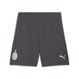Puma Sportshorts 'AC Milan 24/25' Herren Gr&ouml;&szlig;e XS hellgrau / dunkelgrau / limette / pastellgr&uuml;n