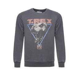 Recovered Sweatshirt 'Jurassic Park T-Rex 1993' male Grey size XL