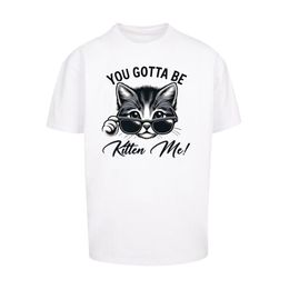 F4NT4STIC T-Shirt 'K&auml;tzchen You Gotta Be Kitten Me!' Herren Gr&ouml;&szlig;e XL grau / schwarz / wei&szlig;