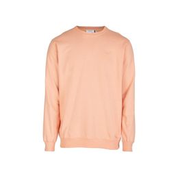 Cleptomanicx Sweatshirt 'Ligull' male Orange size S