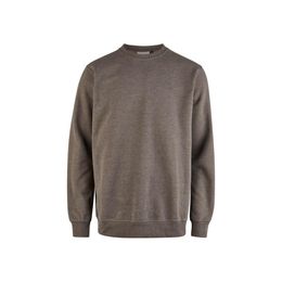 Cleptomanicx Sweatshirt 'Ligull' male Brown size XXL
