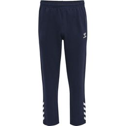 Hummel Workout Pants 'Core XK' male Blue size L