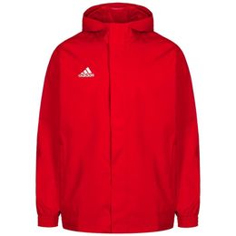 adidas Performance Athletic Jacket 'Entrada 22' male Red size S