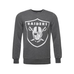 Recovered Sweatshirt 'Raiders Classic Vintage' male Grey size L