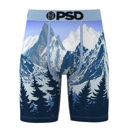 Psd Boxer shorts 'ALPINE CHILL' male Mixed colors size M
