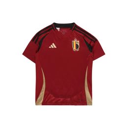 adidas Performance Funktionsshirt 'Belgium 24 Home' Jungen Gr&ouml;&szlig;e 164 beige / gelb / rot / schwarz