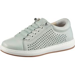 Andrea Conti Damen Sneaker mint, Gr&ouml;&szlig;e 36