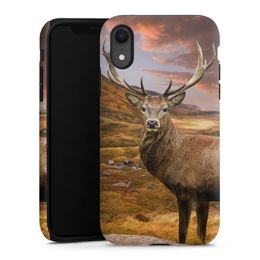 DeinDesign iPhone Xr Handy Panzer Handyh&uuml;lle robuste Outdoor H&uuml;lle Schutzh&uuml;lle matt Mountain Deer Meadow Tough Case