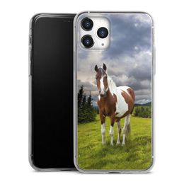 DeinDesign iPhone 11 Pro Handy Slim Case Silikon Handyh&uuml;lle transparent H&uuml;lle extra d&uuml;nn Nature Horse Meadow Silikon Slim Case