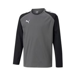Puma Performance Shirt 'TeamLiga' boy Grey size 176
