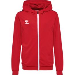 Hummel Athletic Zip-Up Hoodie 'Authentic Pl' boy Red size 176