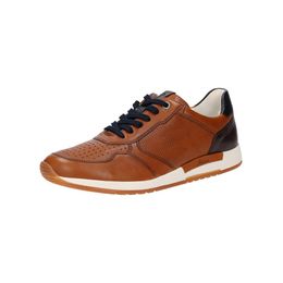 Sioux Sneakers 'Rojaro-718' male Brown size 46