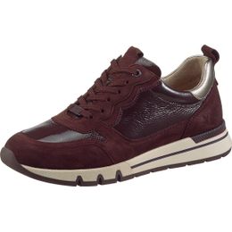 Caprice Damen Sneaker mit seitlichem Gummizug burgund Gr&ouml;&szlig;e 42
