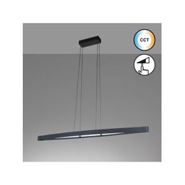 Fischer und Honsel FISCHER & HONSEL LED-Pendelleuchte "Fenga" in Schwarz - (B)119 x (H)150 x (T)14,5 cm - 68% | Haengeleuchten-deckenleuchten