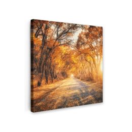 MuchoWow Leinwand bilder Waldweg (BxH) | Gr.: 20 x 20 cm