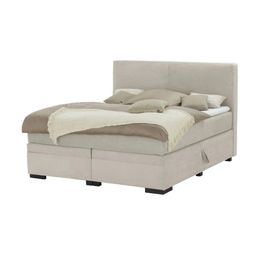 Boxi Boxspringbett mit Bettkasten Boxi Classic &brvbar; beige &brvbar; Ma&szlig;e (cm): B: 160 H: 125 &raquo; H&ouml;ffner