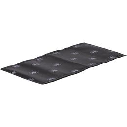 PIG Hochwassersack, wasseraktiviert, LxBxH 610 x 300 x 6,4 mm, VE 10 Stk