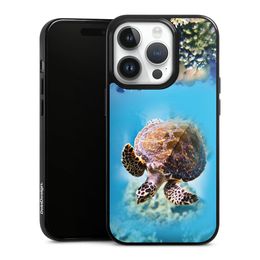 DeinDesign iPhone 14 Pro Handy Silikon H&uuml;lle Case schwarz Handyh&uuml;lle Turtle Ocean Animals