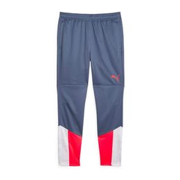 Puma Workout Pants 'IndividualCUP' male Blue size M