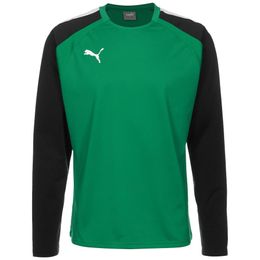 Puma Performance Shirt 'Team Liga' male Green size L