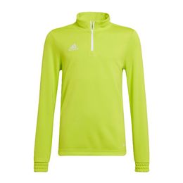 adidas Performance Athletic Sweatshirt 'Entrada 22' boy Yellow size 140