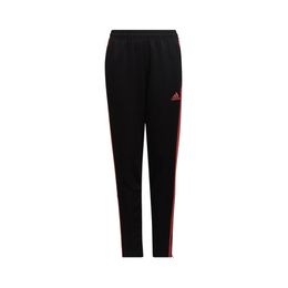 adidas Performance Workout Pants boy Black size 152