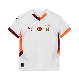 Puma Trikot 'Galatasaray SK 24/25' Jungen Gr&ouml;&szlig;e 128 braun / orange / rot / wei&szlig;