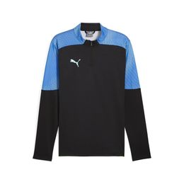 Puma Sportshirt 'IndividualFinal' Herren Gr&ouml;&szlig;e XL blau / pastellblau / hellgr&uuml;n / schwarz